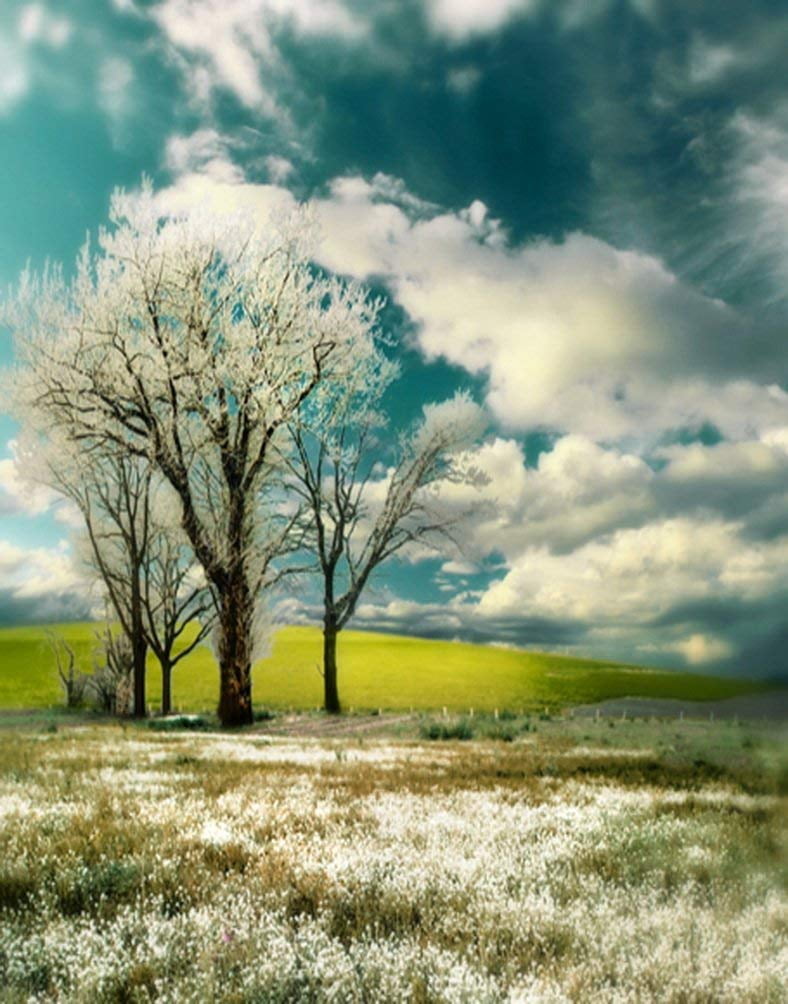 ABPHOTO Polyester 5x7ft Cloud Tree Grass Photography Backdrops Photo ...