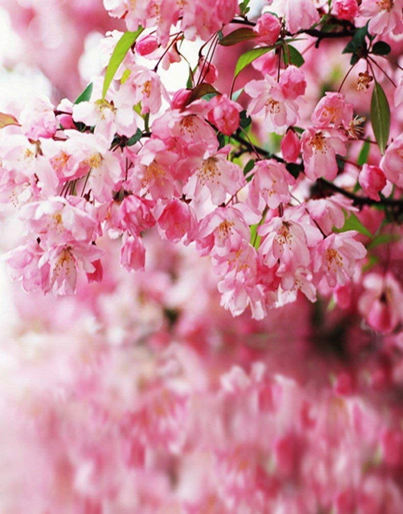 ABPHOTO Polyester 5x7ft Floral Photography Backgrounds Photo Booth ...