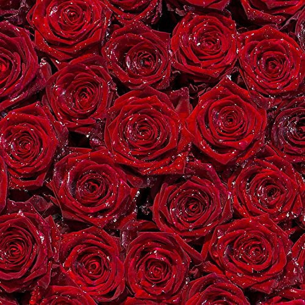 ABPHOTO Polyester 5x7ft Fresh Red Rose Flower Photography Studio ...