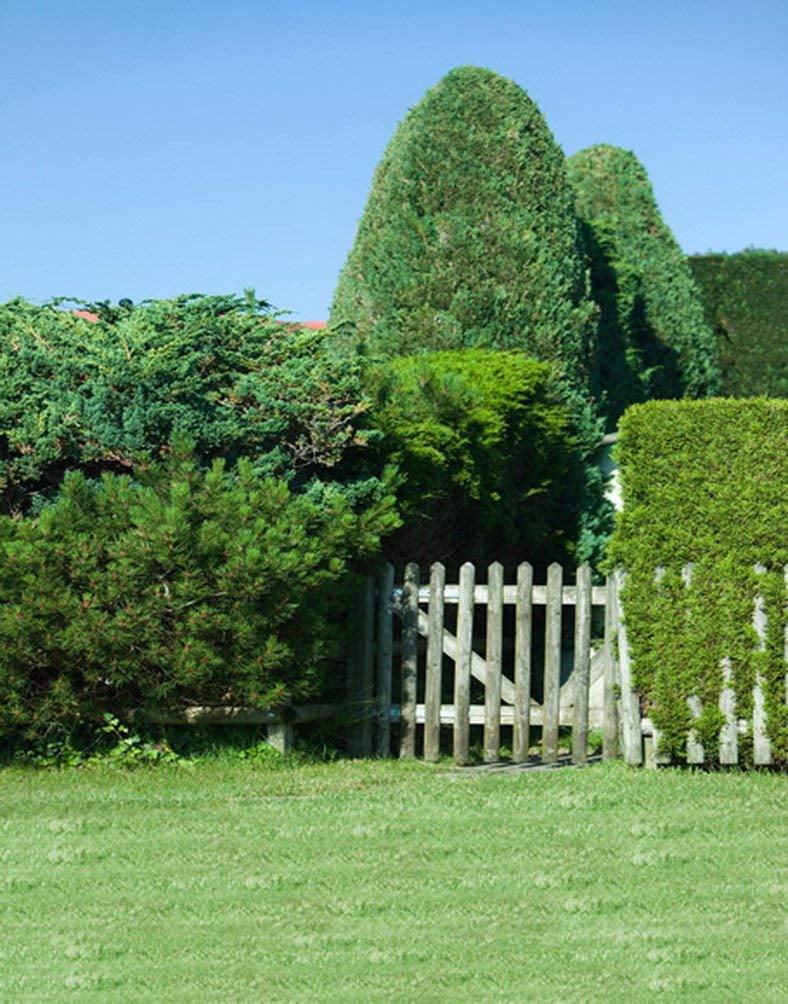 ABPHOTO Polyester 5x7ft Green Grass Tree Fence Photography Backdrops ...