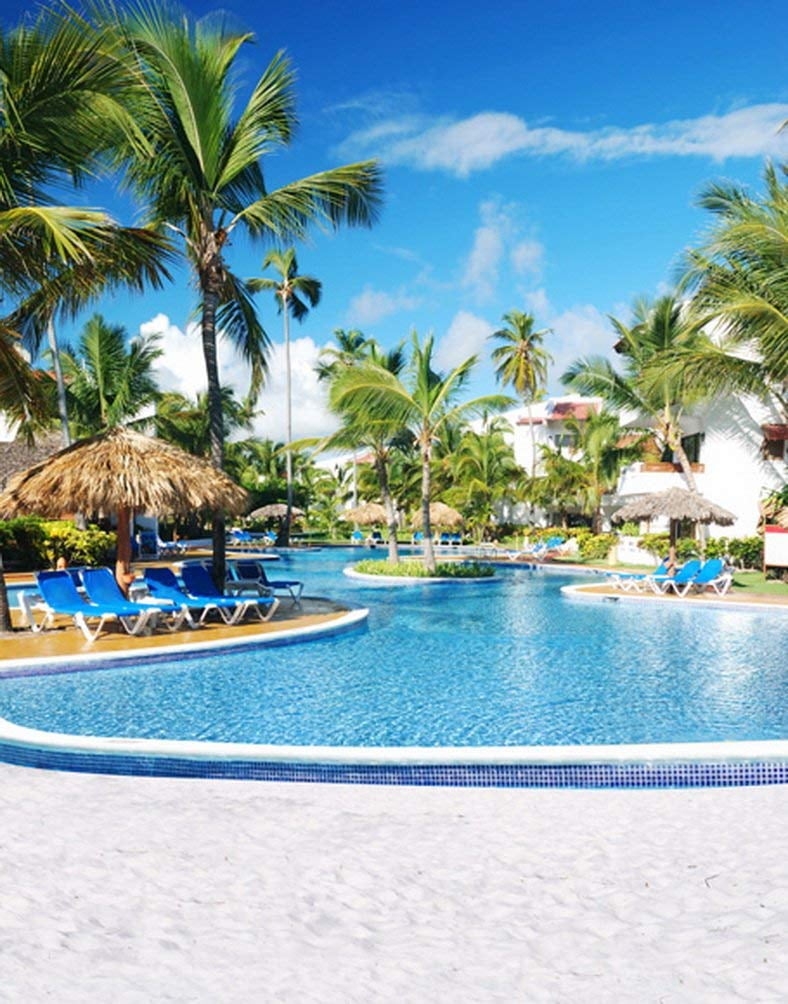 ABPHOTO Polyester 5x7ft Holdiay Coconut Tree Water Photography ...