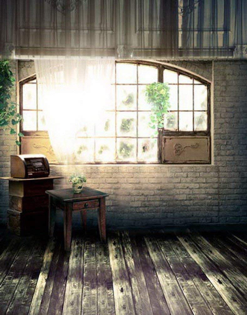 ABPHOTO Polyester 5x7ft Indoor Room Scene Window Floor Wedding Photo ...