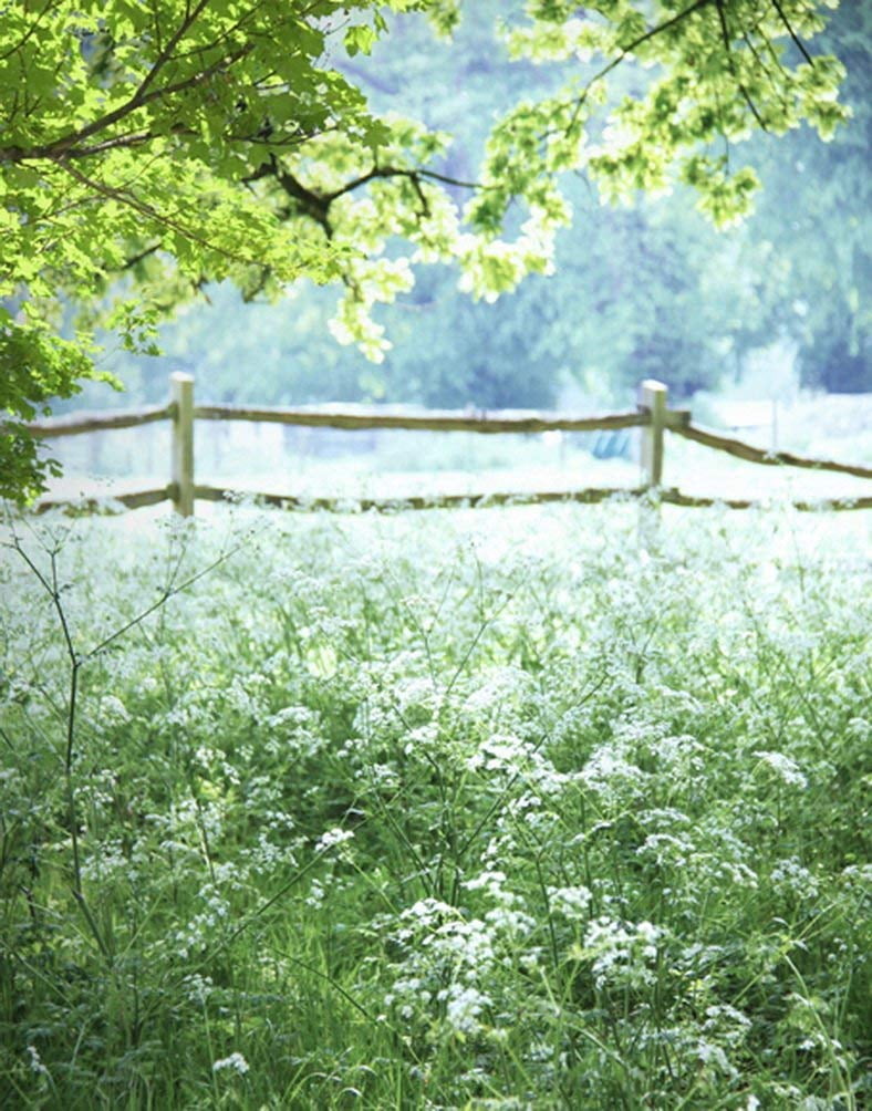 ABPHOTO Polyester 5x7ft Landscape Grass Tree Fence Photography ...