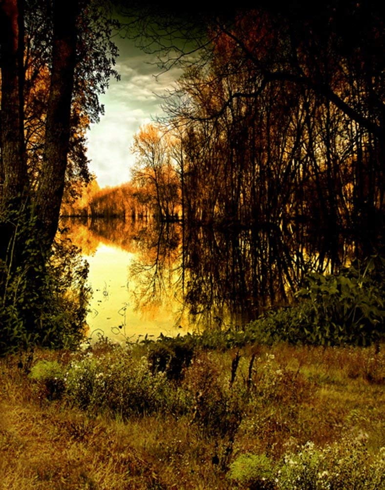 ABPHOTO Polyester 5x7ft Landscape Tree River Photography Backdrops ...