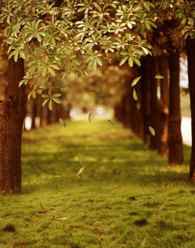 ABPHOTO Polyester 5x7ft Lawn Tree Green Leaves Photography Backdrops ...