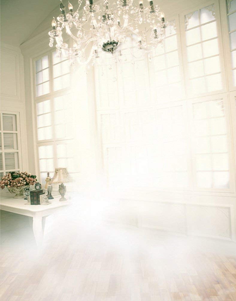 ABPHOTO Polyester 5x7ft Living Room Sunshine Photography Backdrops ...
