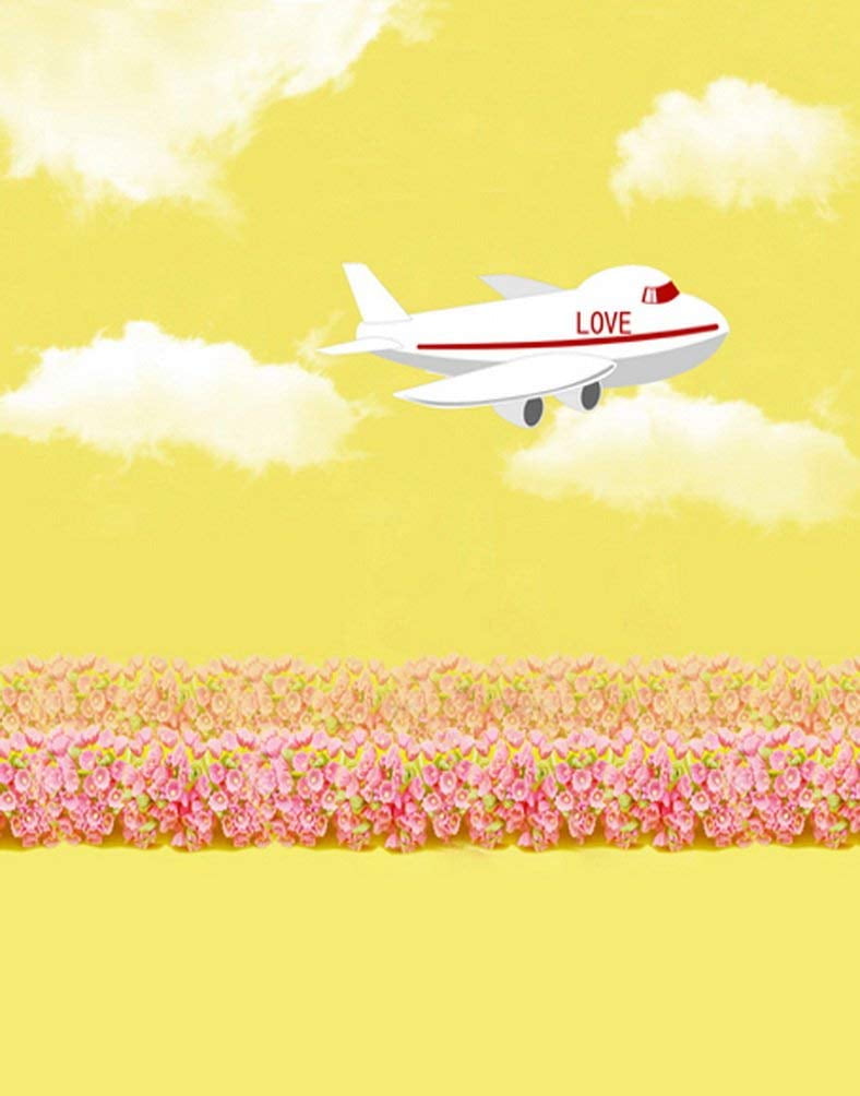 ABPHOTO Polyester 5x7ft Love Plane Flowers Cloud Photography Backdrops ...