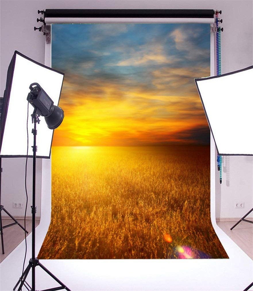 ABPHOTO Polyester 5x7ft Photography Backdrop Nature Golden Wheat Field ...