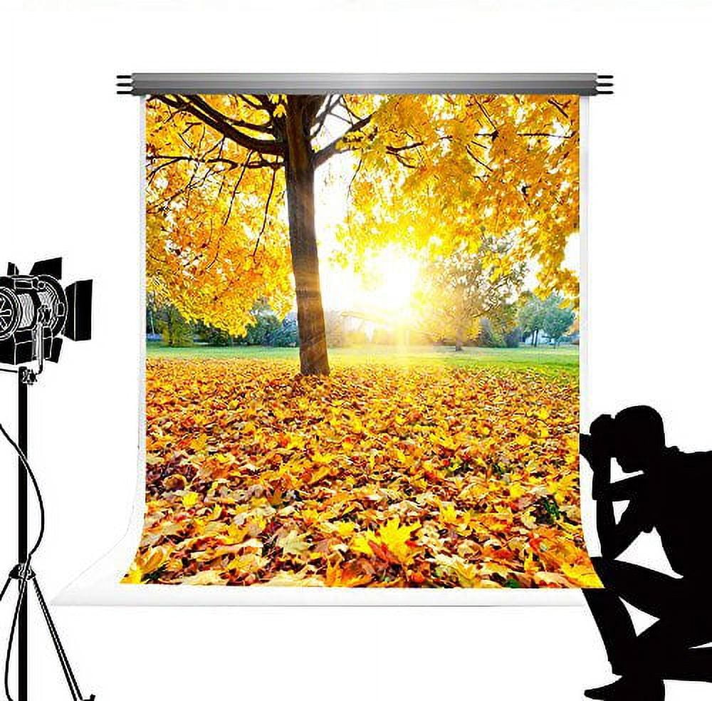 ABPHOTO Polyester 5x7ft Photography Background Falls Photocall Autumn ...