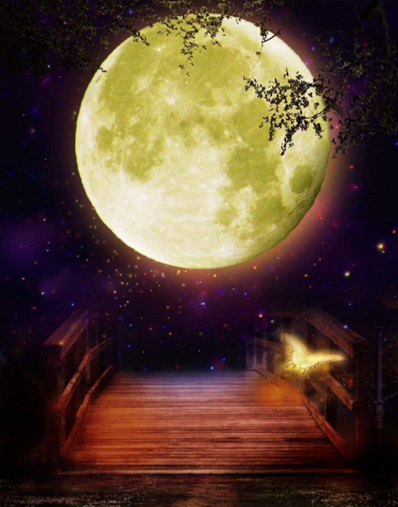 ABPHOTO Polyester 5x7ft Romantic Moon Photography Backdrops Photo Props ...