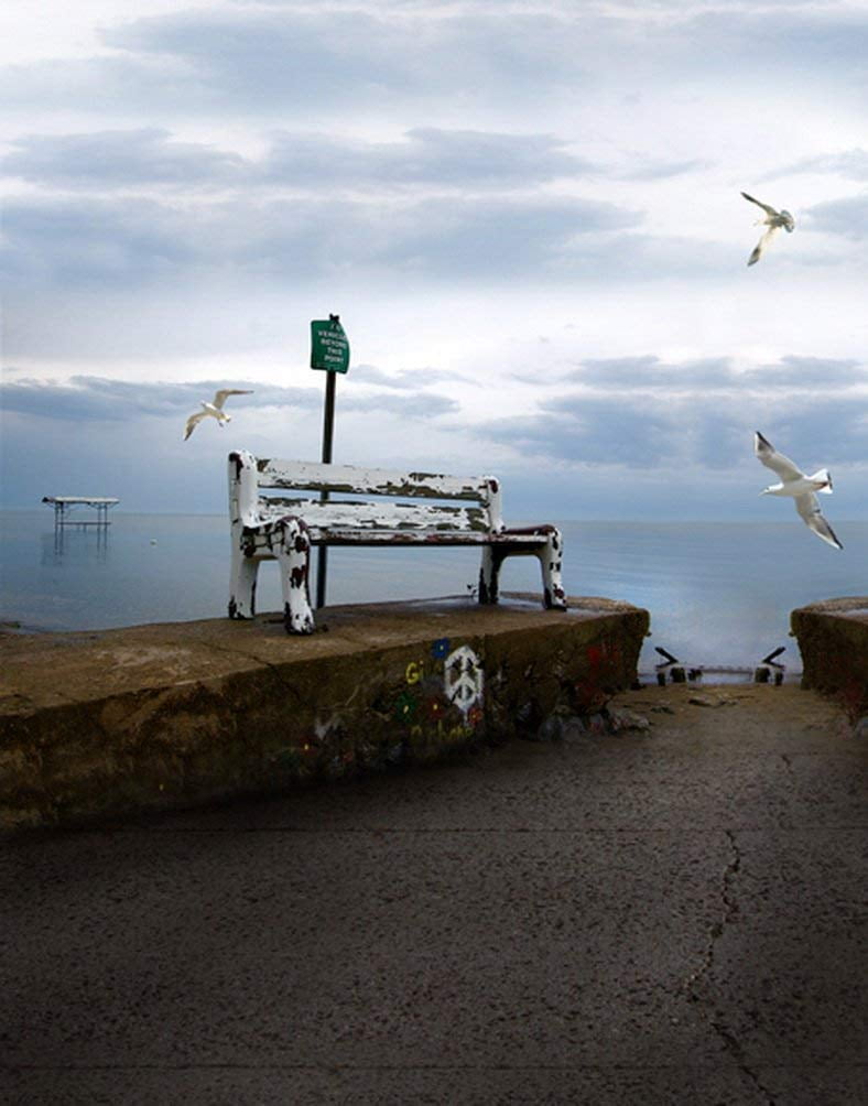 ABPHOTO Polyester 5x7ft Sea Old Chair Seagull Photography Backdrops ...