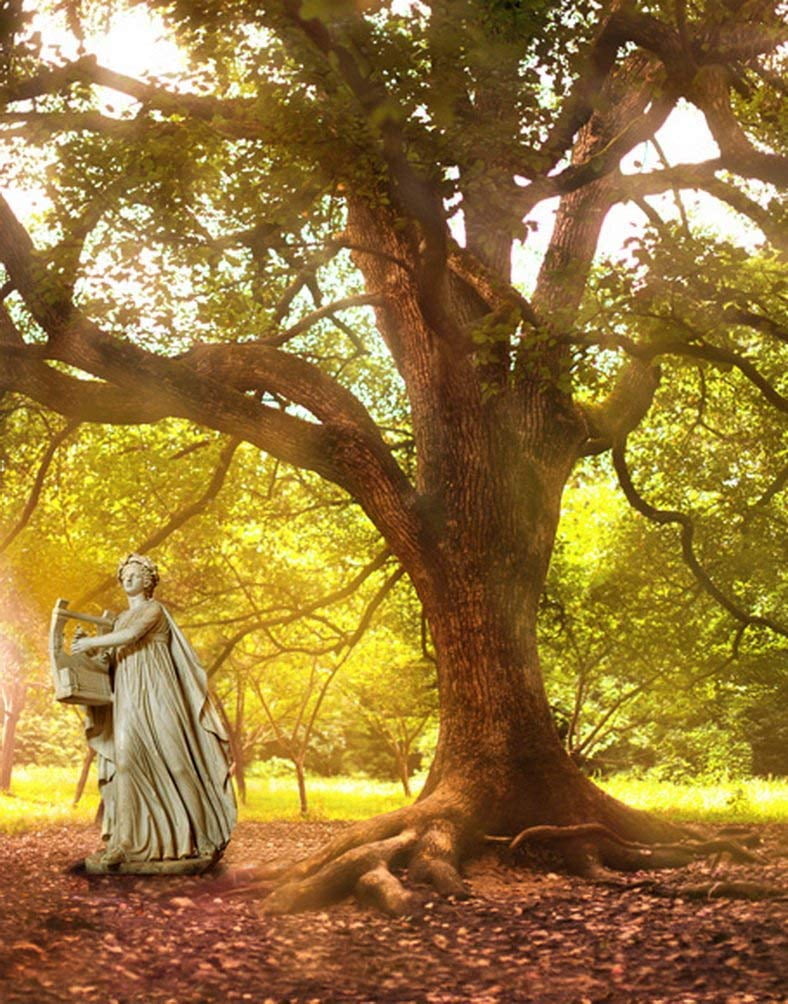 ABPHOTO Polyester 5x7ft Tree Angel Photography Backdrops Photo Props ...