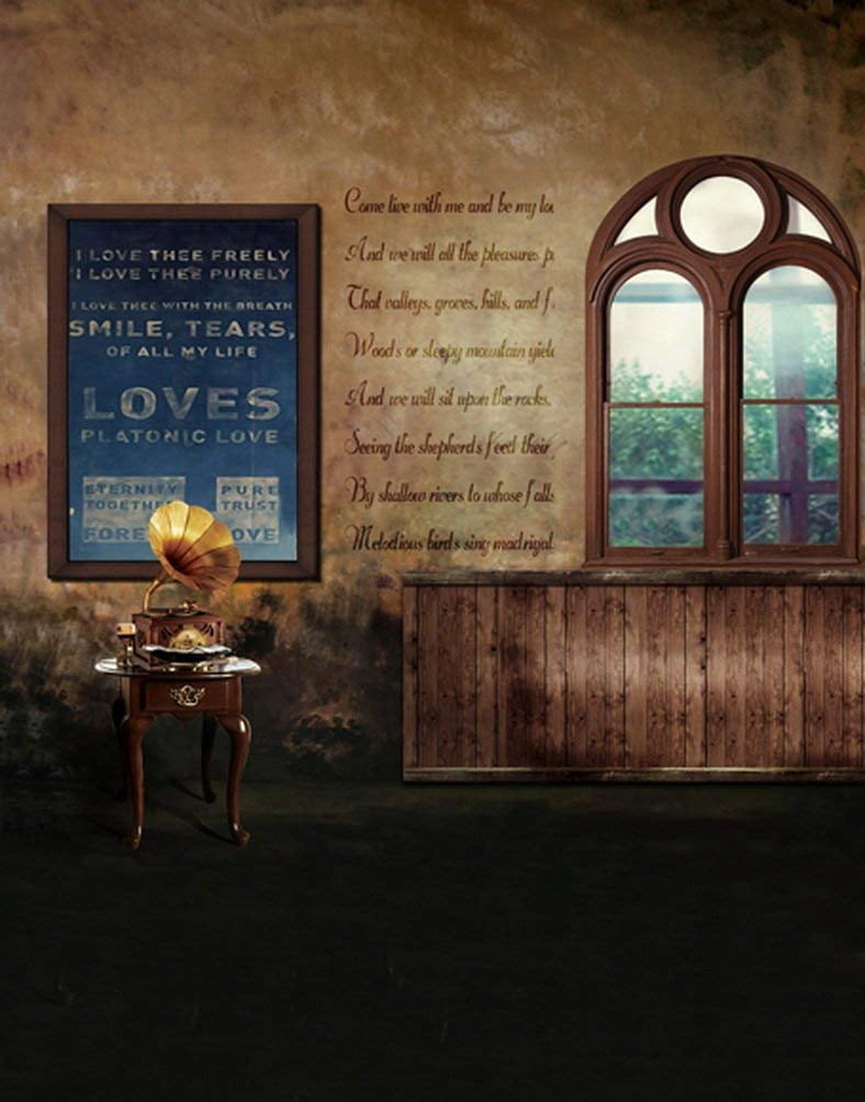 ABPHOTO Polyester 5x7ft Vintage Room Love Poem Photography Backdrops ...