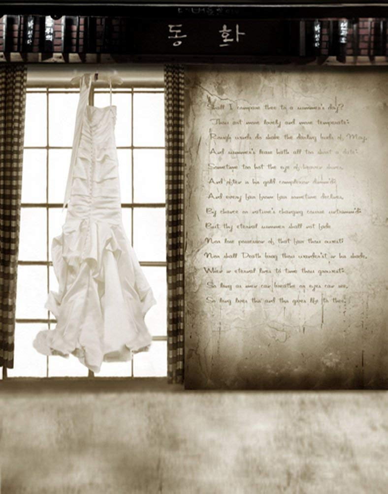 ABPHOTO Polyester 5x7ft Vintage Room Poem Dress Photography Backdrops ...