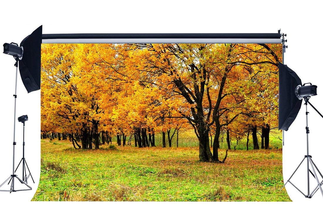 ABPHOTO Polyester 7x5ft Autumn Backdrop Golden Leaves Backdrops Jungle ...