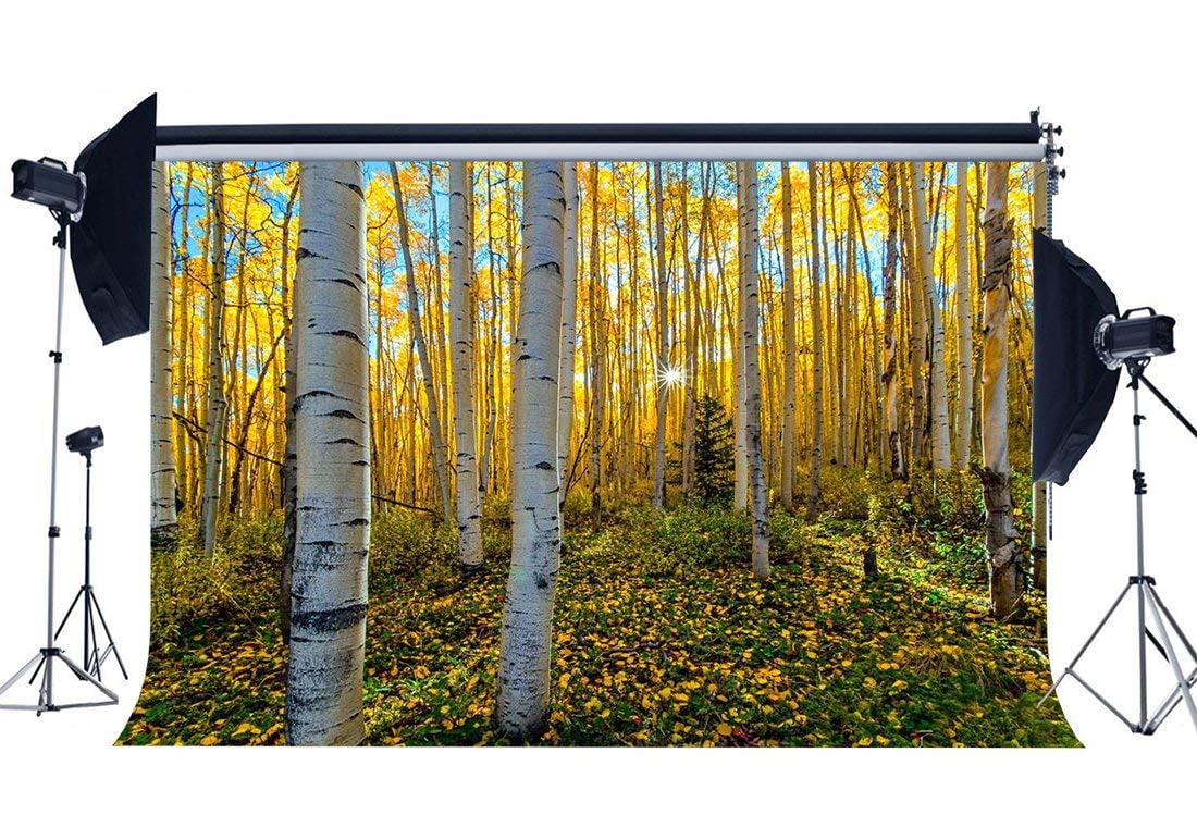 ABPHOTO Polyester 7x5ft Autumn Backdrop Jungle Forest Backdrops Nature ...