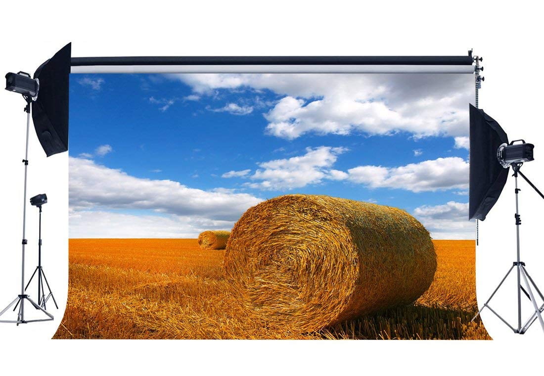 ABPHOTO Polyester 7x5ft Autumn Farmland Backdrop Nature Wheat Field ...