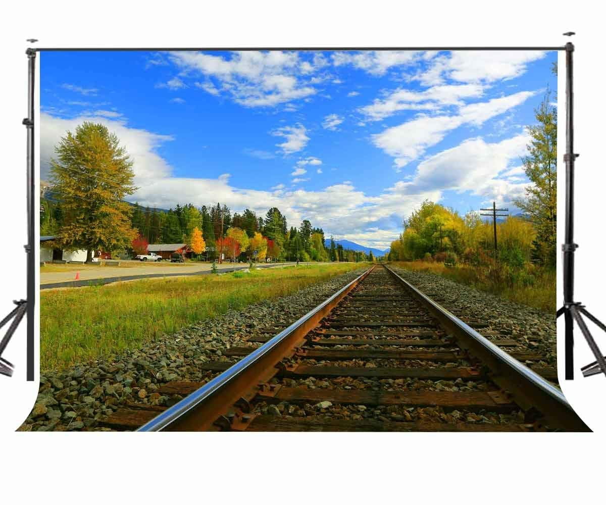 ABPHOTO Polyester 7x5ft Backdrop Empty Railroad Tracks Backdrop Green ...