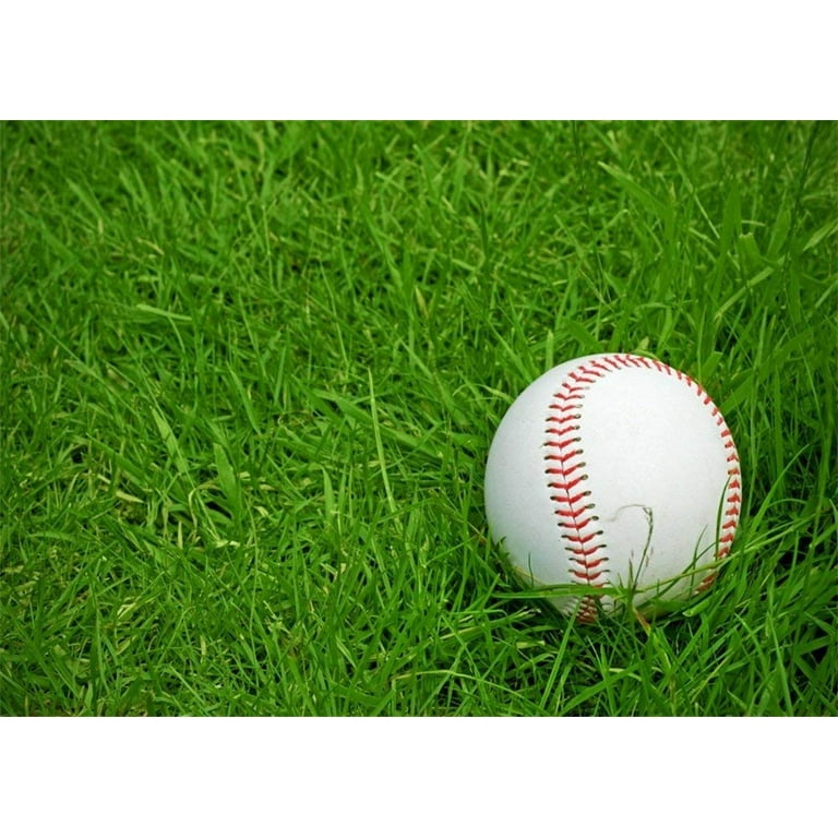 Baseball Backdrop Background