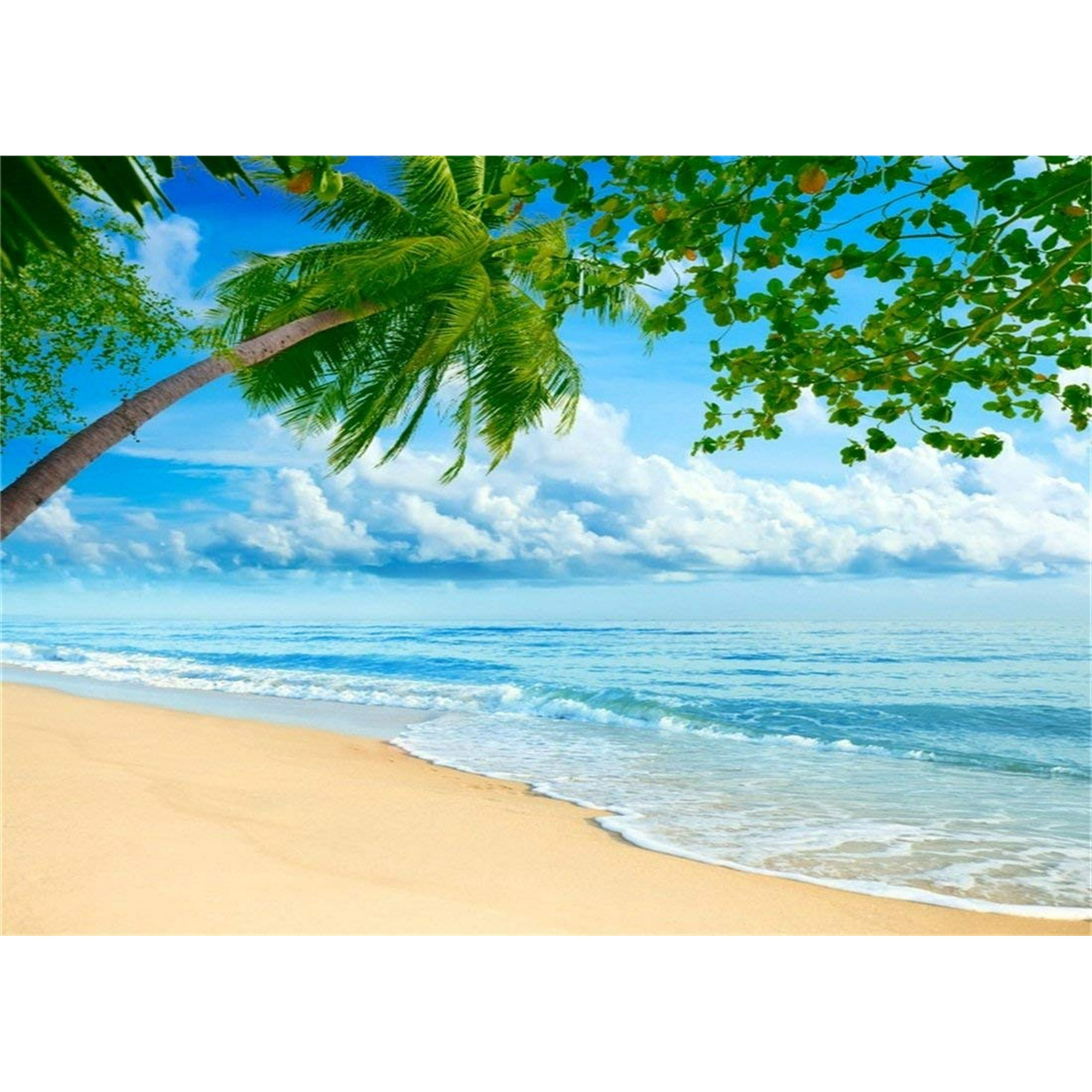 Luau Beach Background