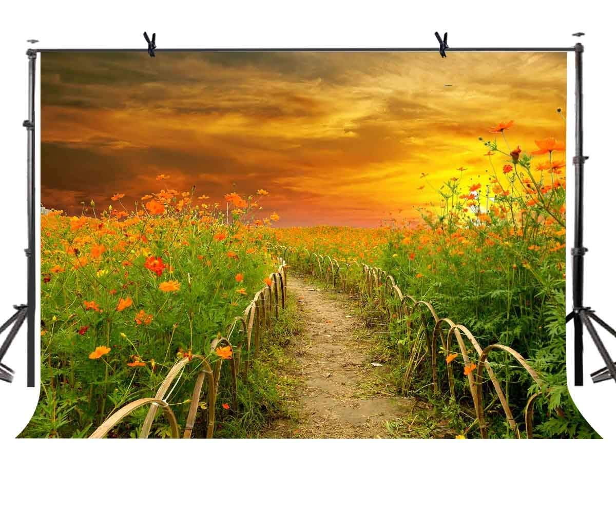 ABPHOTO Polyester 7x5ft Country Trail Backdrop Lush Plant Country Trail ...