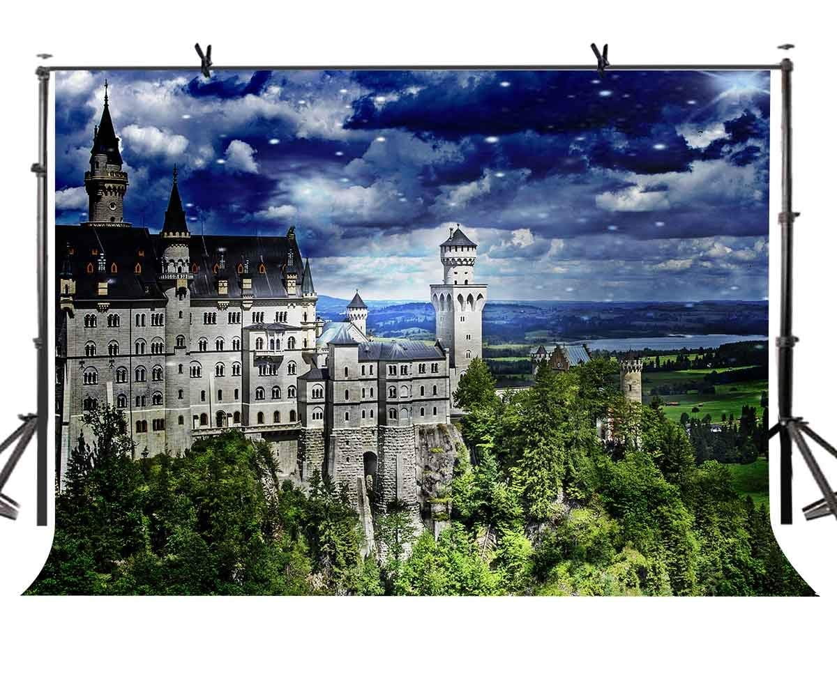 ABPHOTO Polyester 7x5ft German Castle Backdrop German Famous ...
