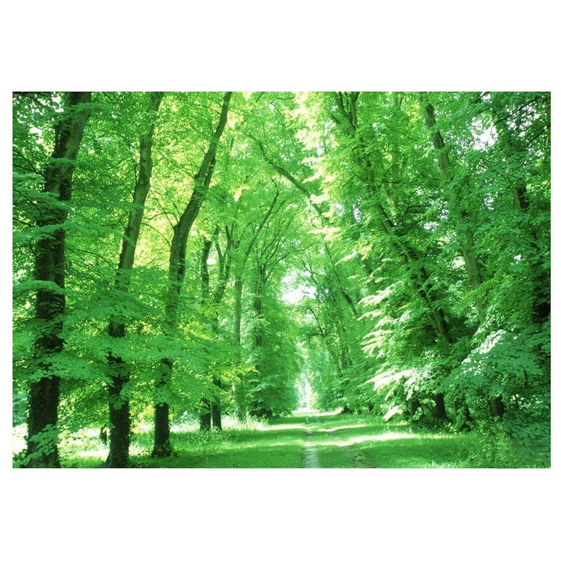 ABPHOTO Polyester 7x5ft Green Forest Nature Scenery Photography ...