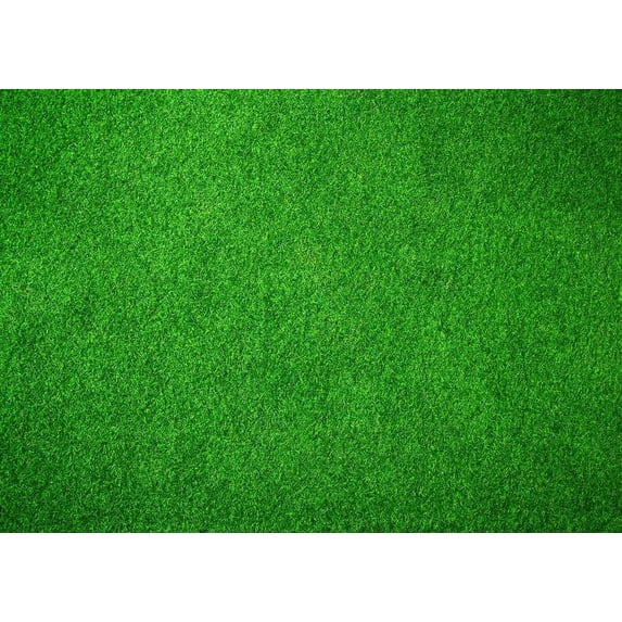 ABPHOTO Polyester 7x5ft Green Lawn Backdrop Glitter Baby Shinny Spot ...