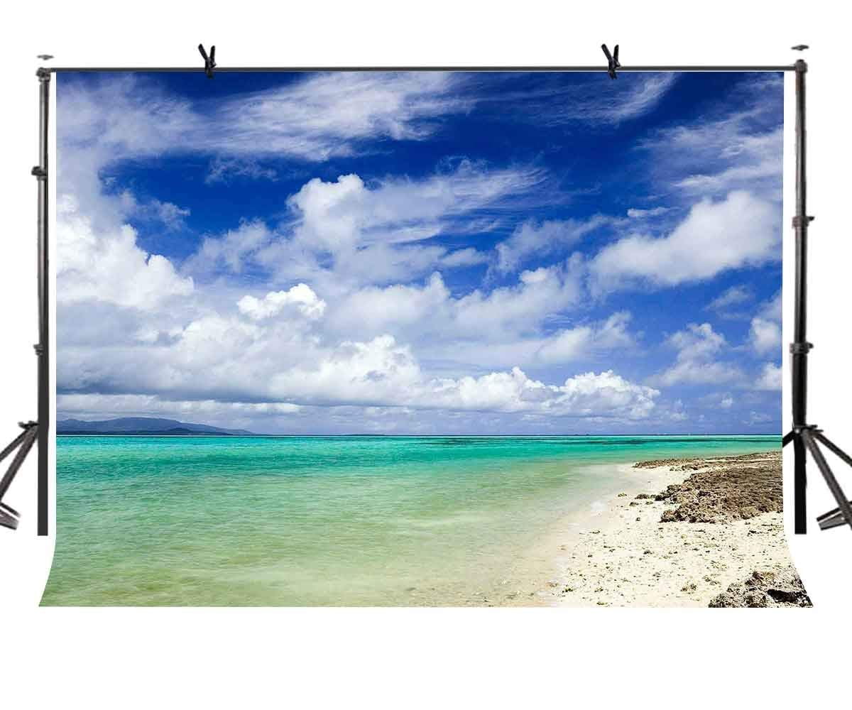ABPHOTO Polyester 7x5ft Natural Scenery Backdrop Blue Sky White Clouds ...