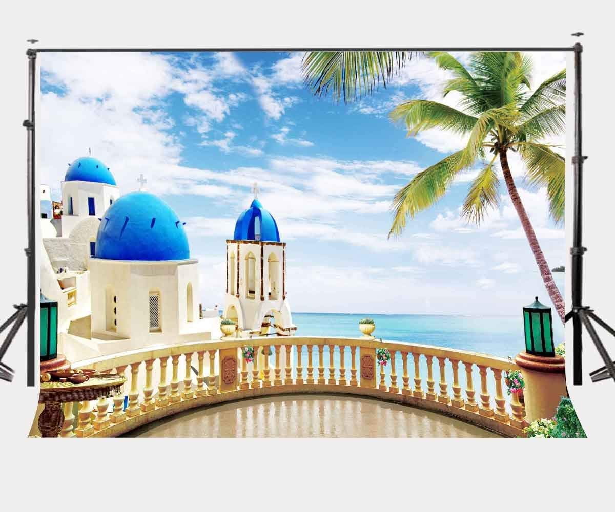 ABPHOTO Polyester 7x5ft Natural Scenery Backdrop Coconut and Sea Style ...