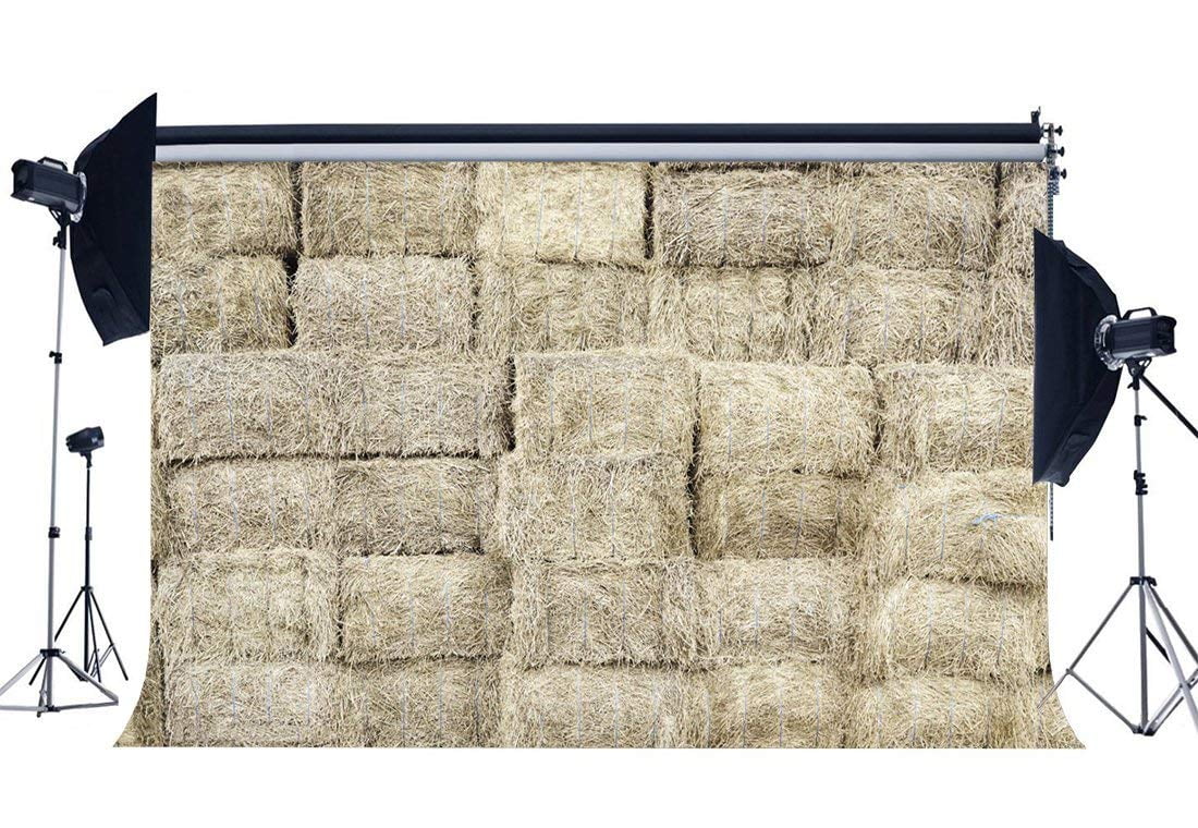 ABPHOTO Polyester 7x5ft Old Barn Backdrop Straw Haystack Backdrops ...