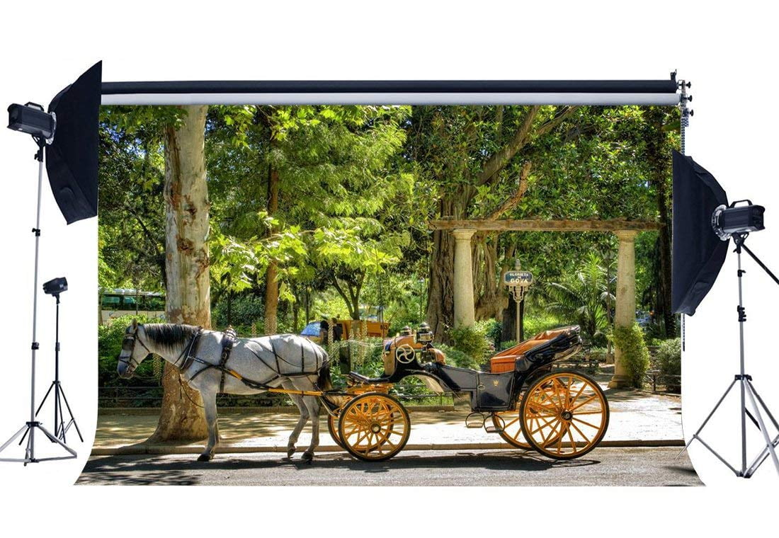 ABPHOTO Polyester 7x5ft Old Carriage Backdrop Spring Jungle Forest ...