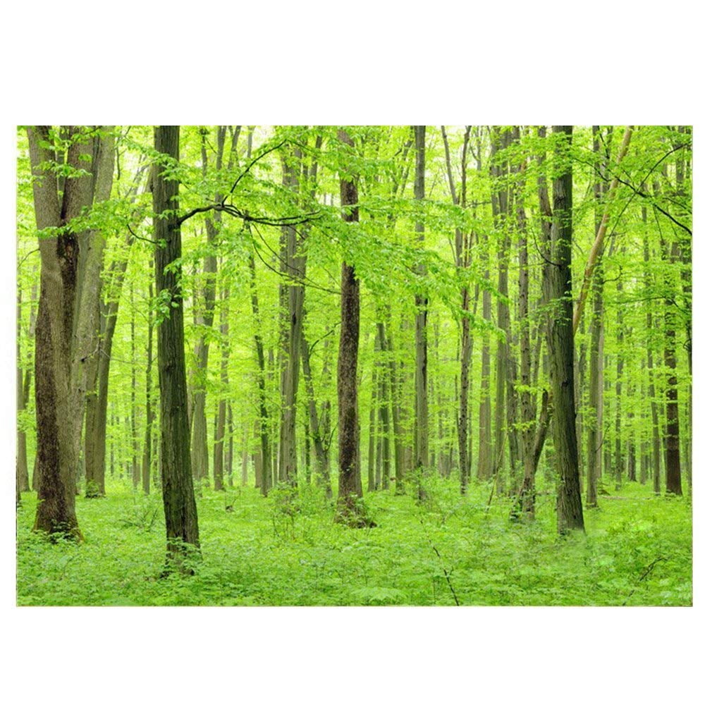 ABPHOTO Polyester 7x5ft Pale Green Forest Nature Scenery Photography ...