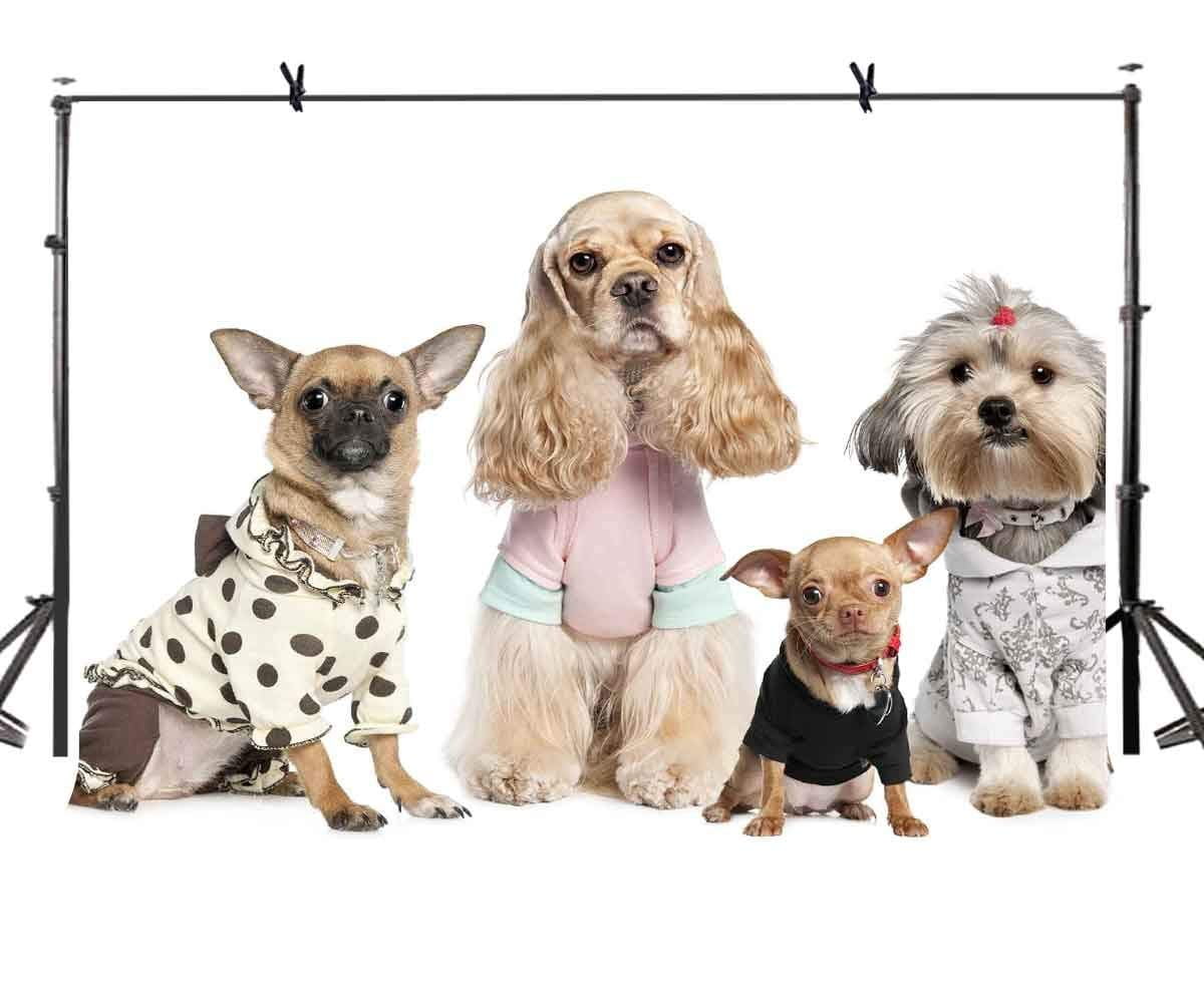 ABPHOTO Polyester 7x5ft Pet Dog Backdrop Cute Dressed Pet Dog ...