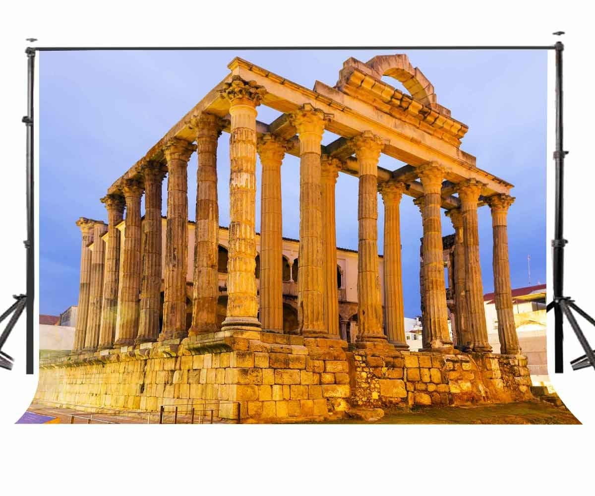 ABPHOTO Polyester 7x5ft Photography Backdrop Architectural Landscape ...