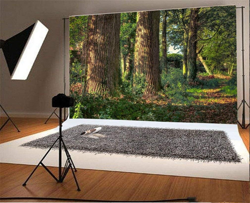 ABPHOTO Polyester 7x5ft Photography Backdrop Jungle Dirt Road Sunshine ...