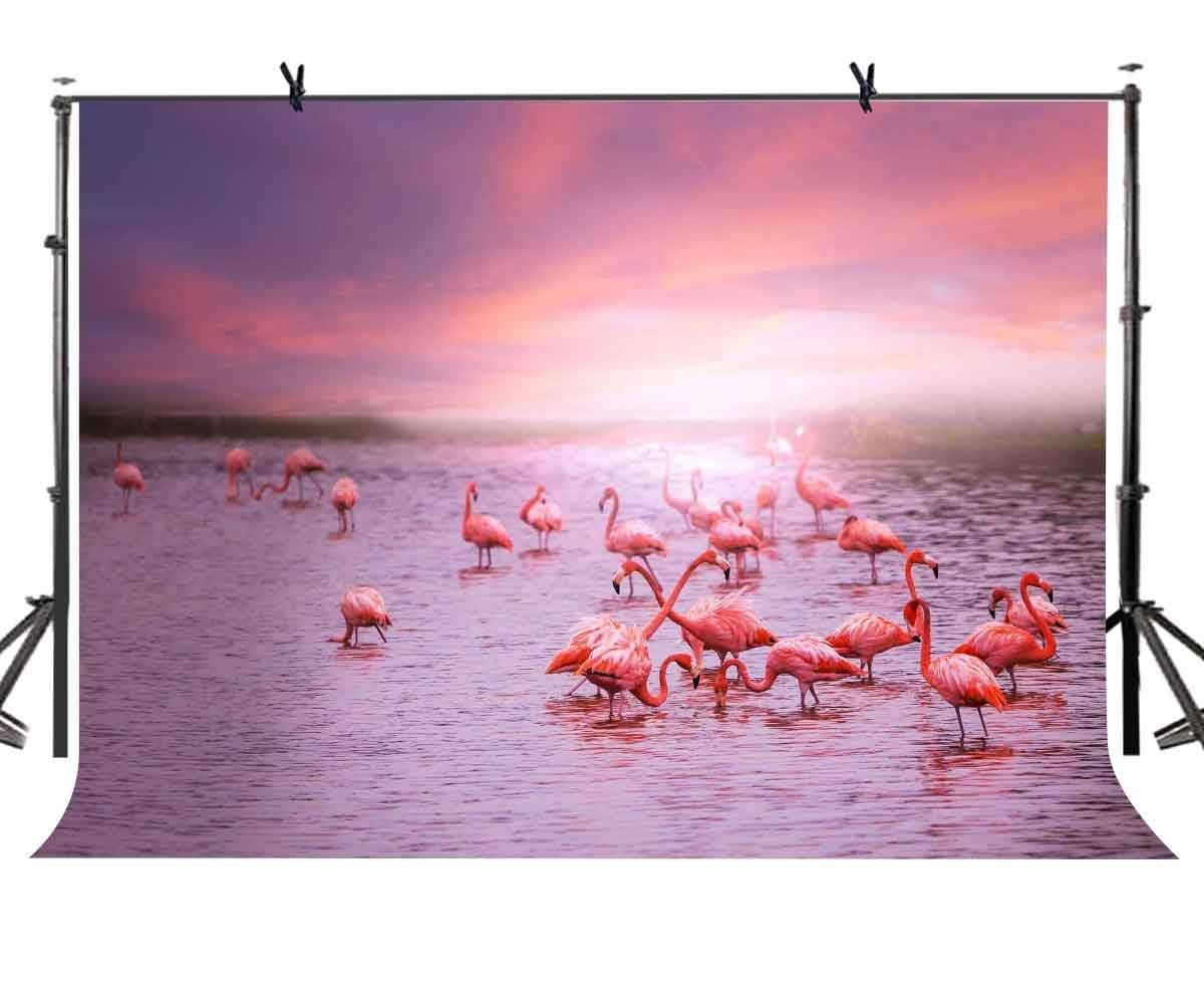 ABPHOTO Polyester 7x5ft Pink Color Backdrop Firebird Habitat Evening ...