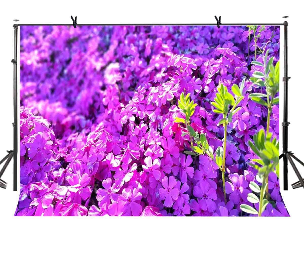 ABPHOTO Polyester 7x5ft Purple Flowers Backdrop Beautiful Luxuriant ...