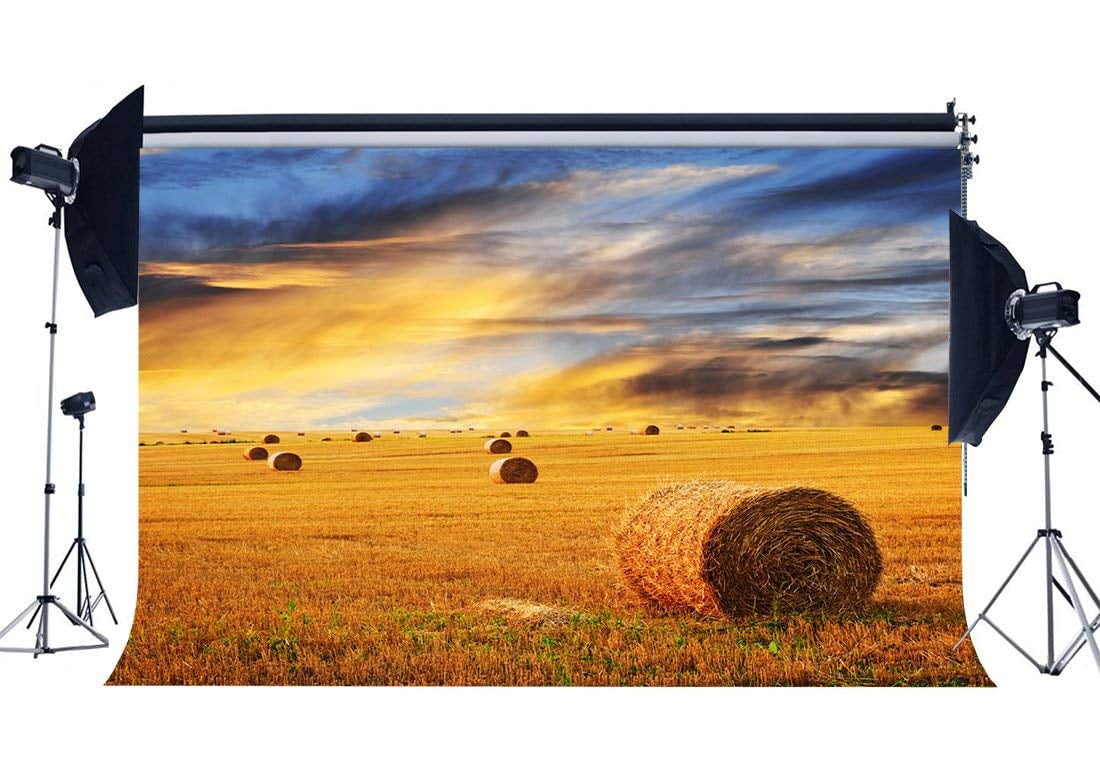 ABPHOTO Polyester 7x5ft Rustic Farmland Backdrop Straw Haystack ...