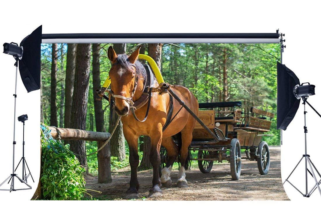 ABPHOTO Polyester 7x5ft Sightseeing Carriage Backdrop Rustic Farmland ...