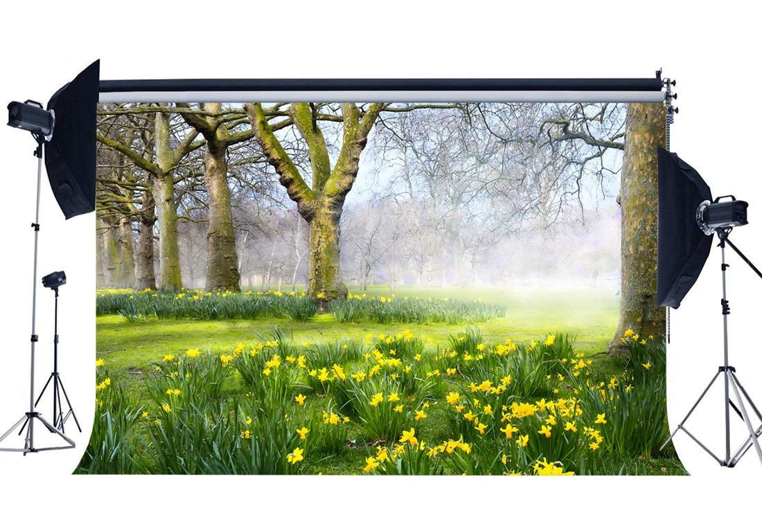 ABPHOTO Polyester 7x5ft Spring Backdrop Jungle Forest Backdrops Old ...