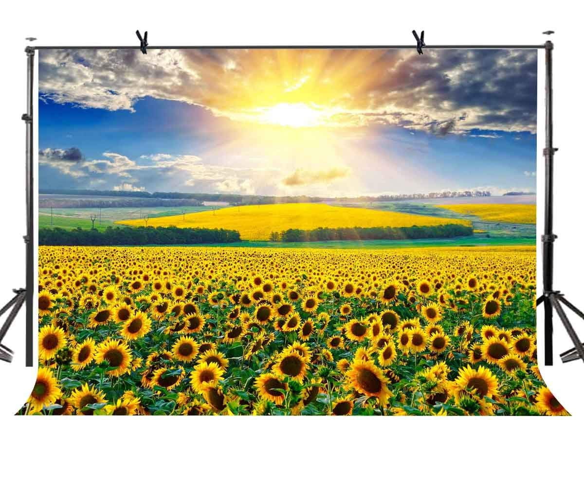 ABPHOTO Polyester 7x5ft Sunflower Farm Backdrop Sunny Beautiful ...