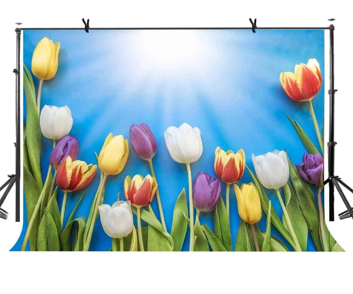 ABPHOTO Polyester 7x5ft Tulip Backdrop Sunshine Tulip Blue Photography ...