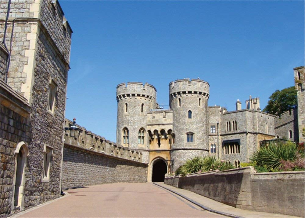 ABPHOTO Polyester 7x5ft Windsor Castle Backdrop UK Famous Old Palace ...