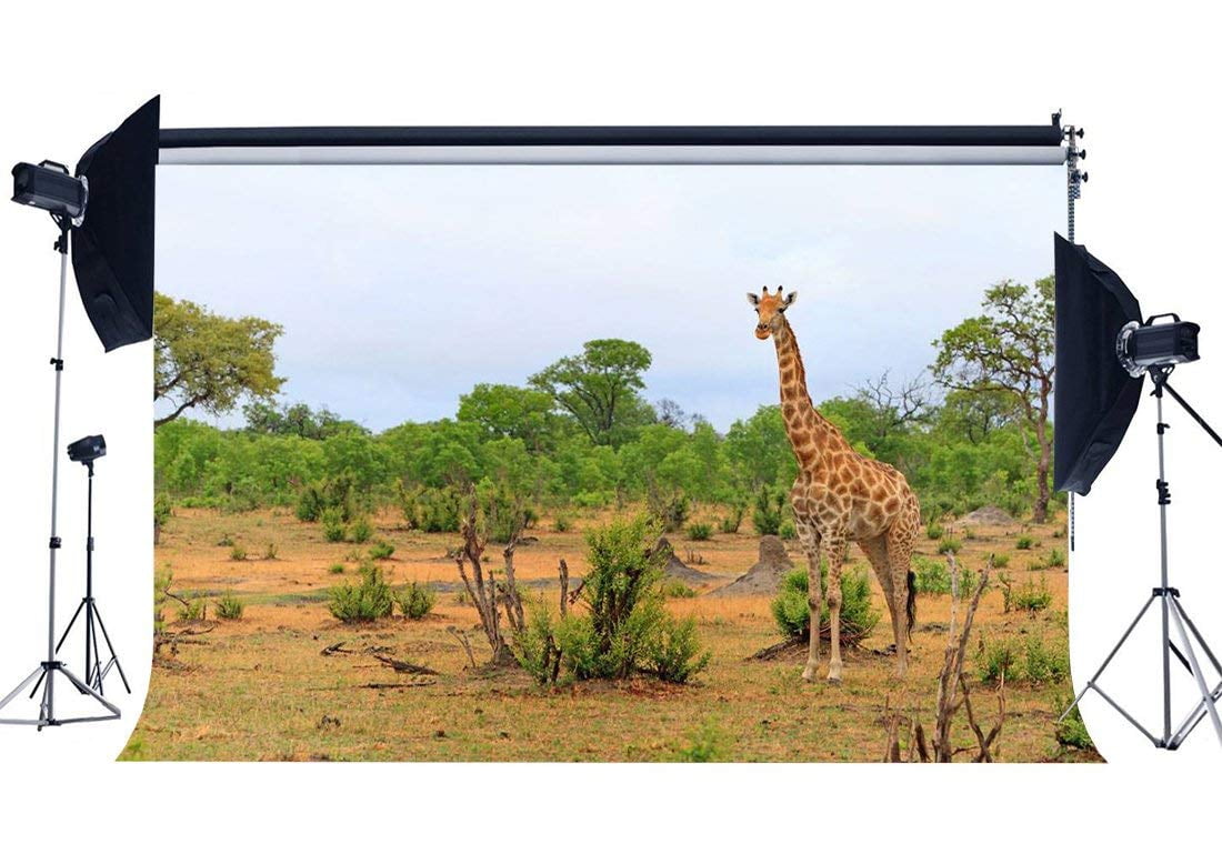 ABPHOTO Polyester 7x5ft Zoo Backdrop Countryside Sika Deer Backdrops ...