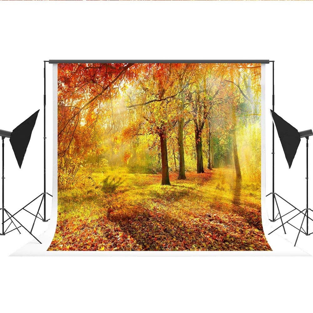 ABPHOTO Polyester Autumn Backdrop for Photography Naturism Scenery ...