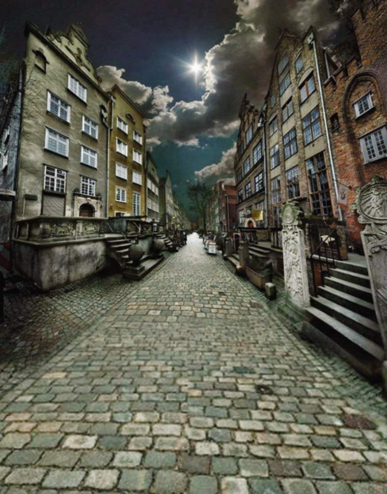 ABPHOTO Polyester Brick Road Tall Building Photography Backdrops Photo ...