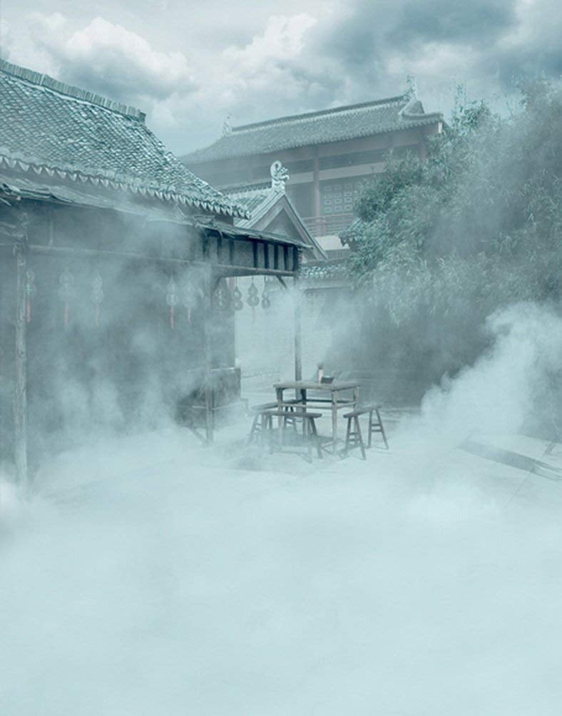 ABPHOTO Polyester Chinses Traditional House Hazy Photography Backdrops ...