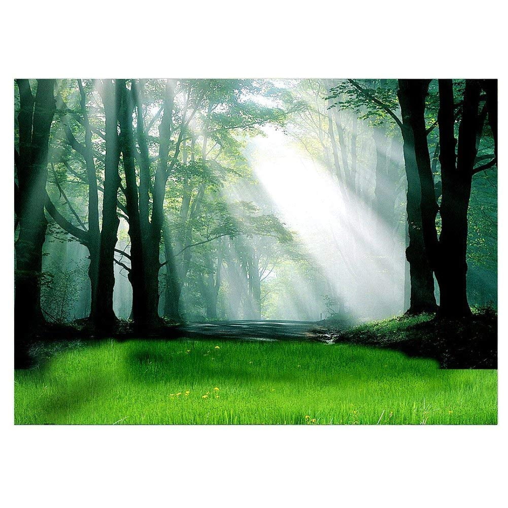 ABPHOTO Polyester Forest under The Sun Backdrops 7x5ft Photography ...