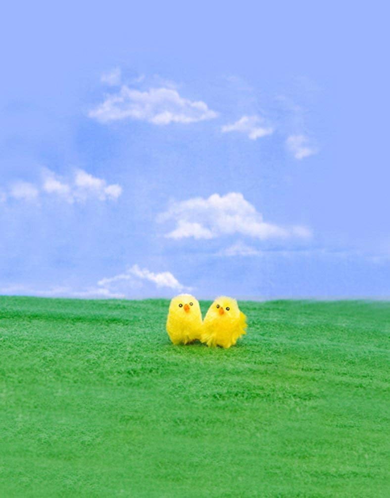 ABPHOTO Polyester Grass Blue Sky Chick Photography Backdrops Photo ...